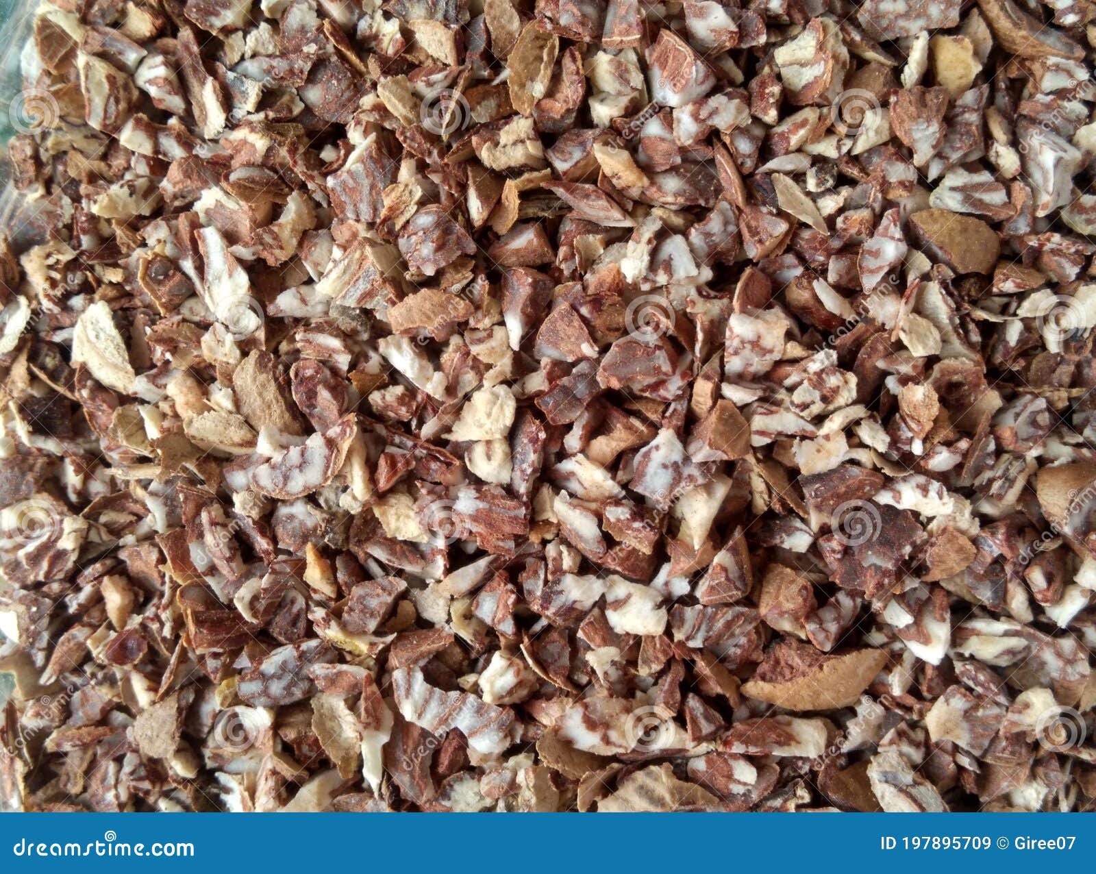 Areca Nuts in Tiny Size Shapes Stock Image - Image of closeup ...