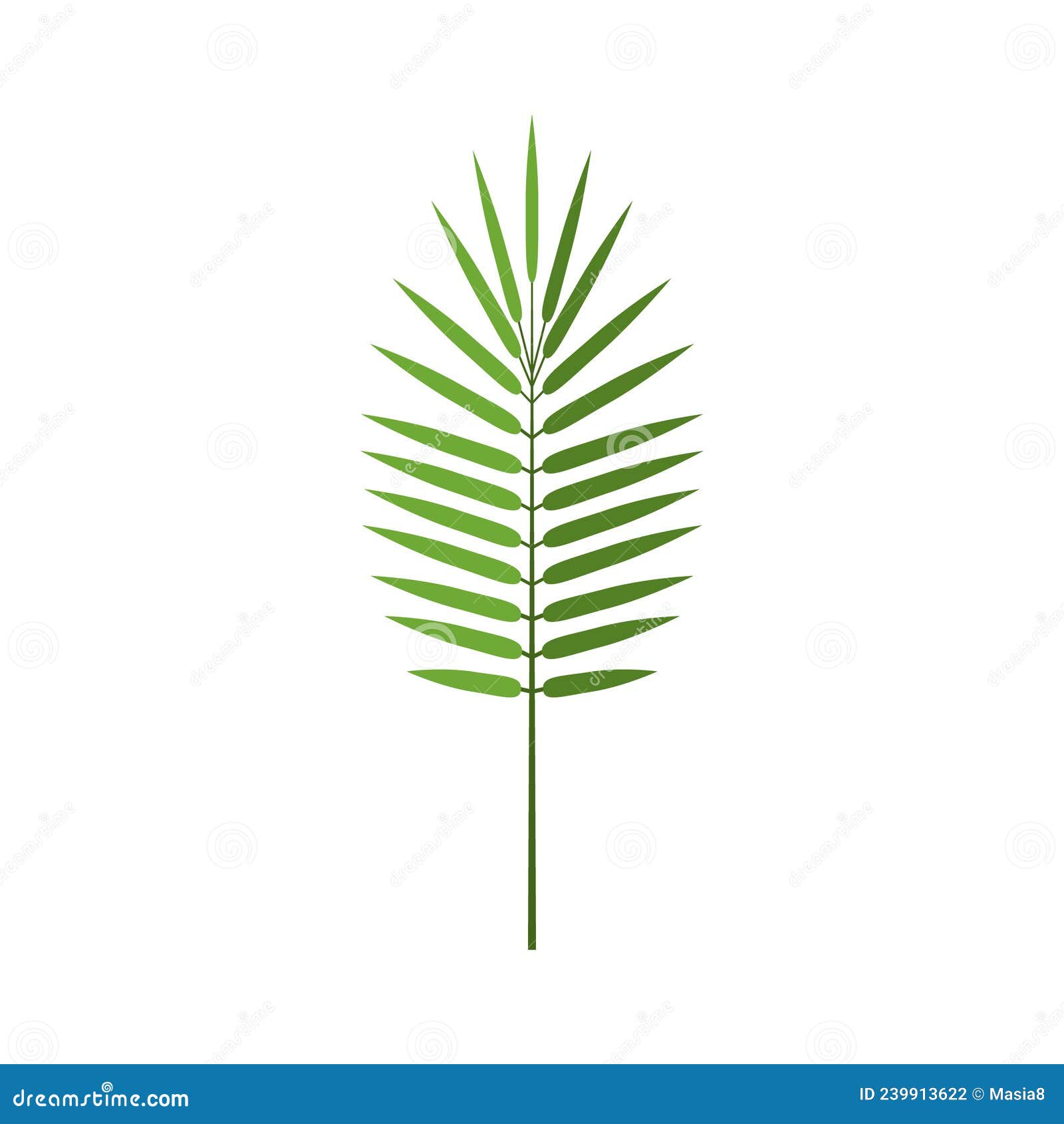 Areca Palm Sketch By Hand Drawing Cartoon Vector | CartoonDealer.com ...