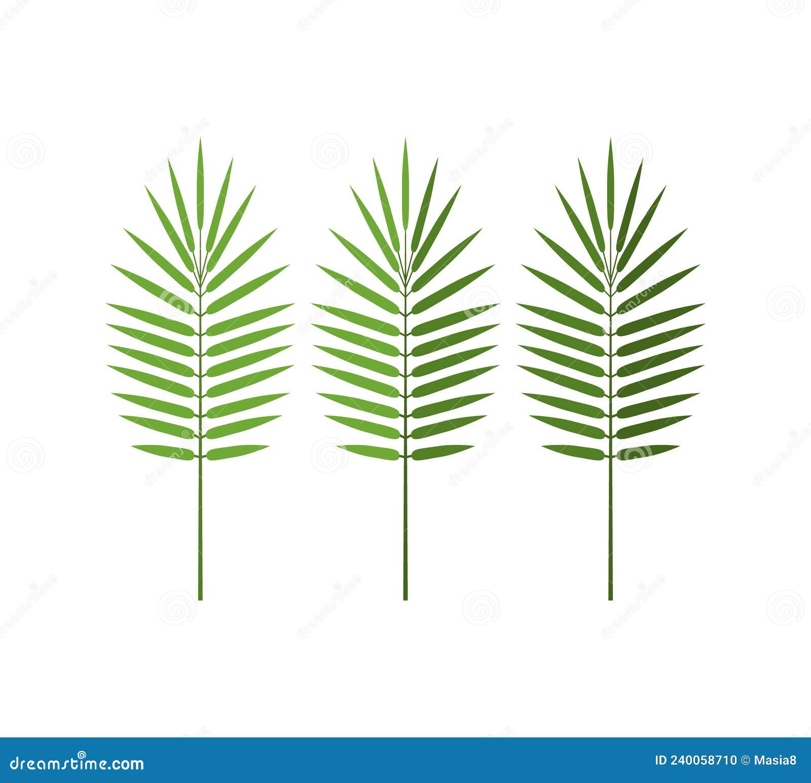 Areca Palm Sketch By Hand Drawing Cartoon Vector | CartoonDealer.com ...