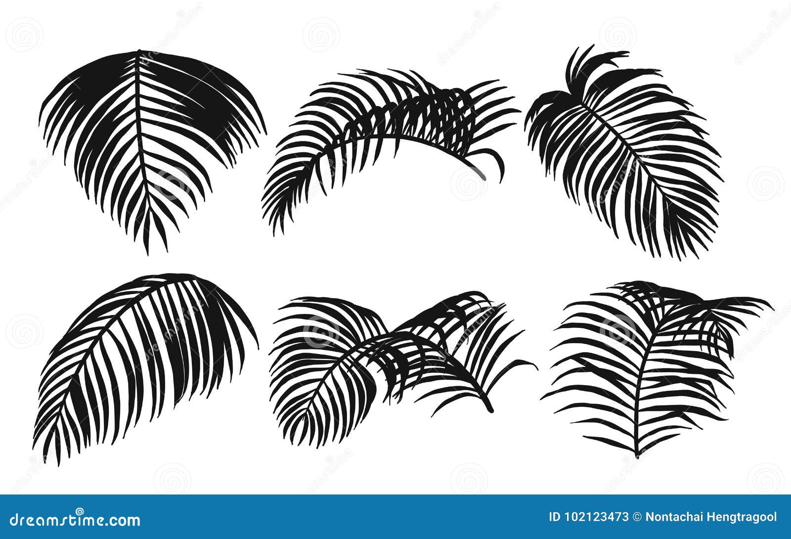 Areca Palm Sketch By Hand Drawing Cartoon Vector | CartoonDealer.com ...