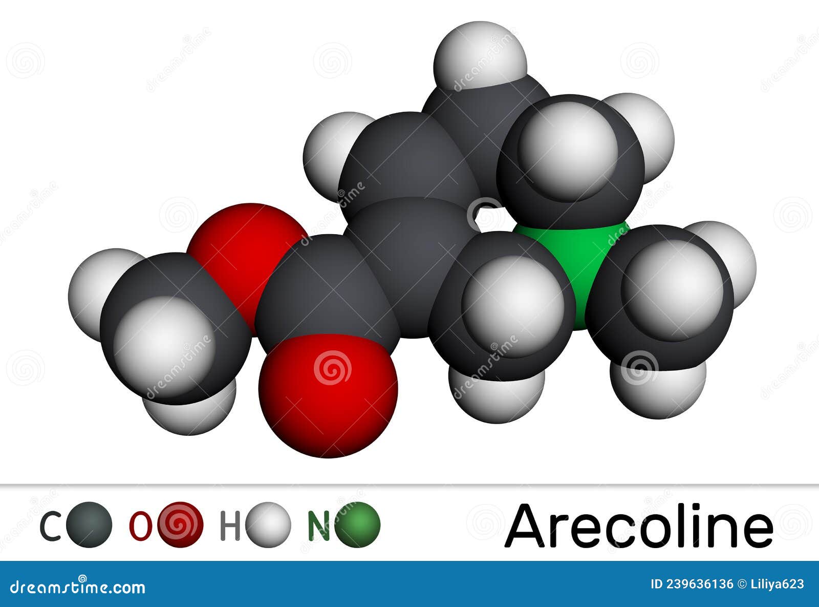 Arecoline Molecule. it is Lkaloid Obtained from the Betel Nut, Areca ...