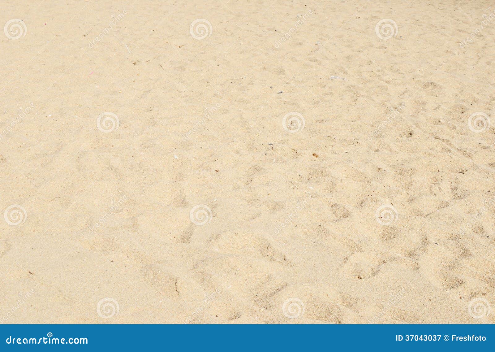 Areia da praia imagem de stock. Imagem de sunlight, ecologia - 37043037