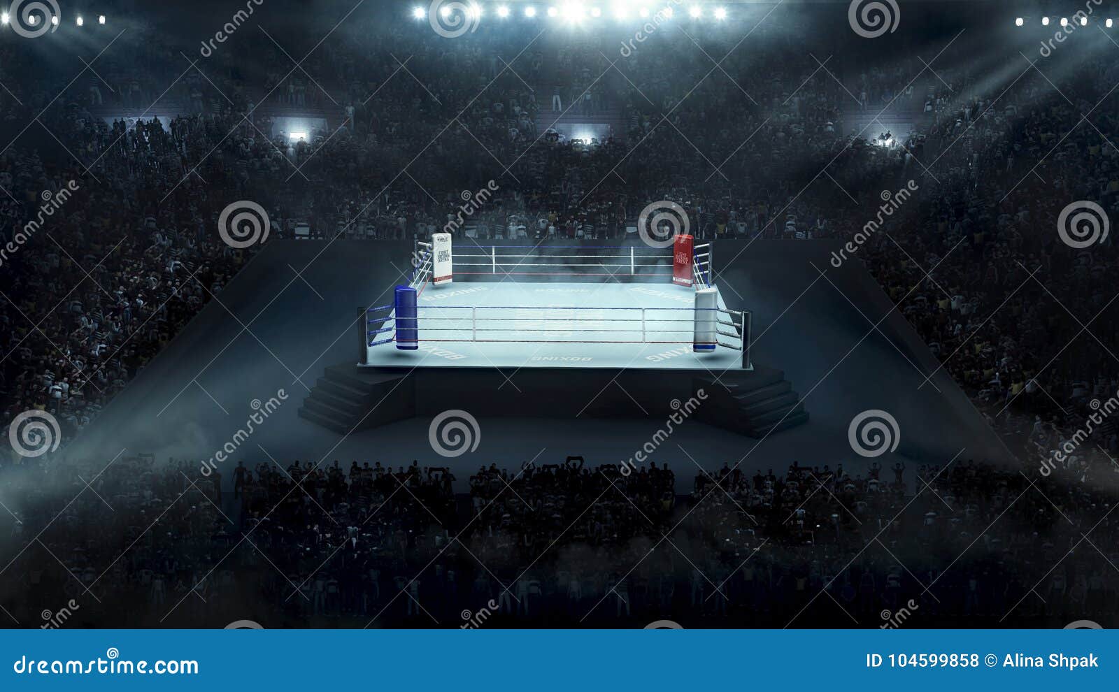 Arena De Boxeo Con La Luz Del Estadio Foto de archivo - Imagen de ...