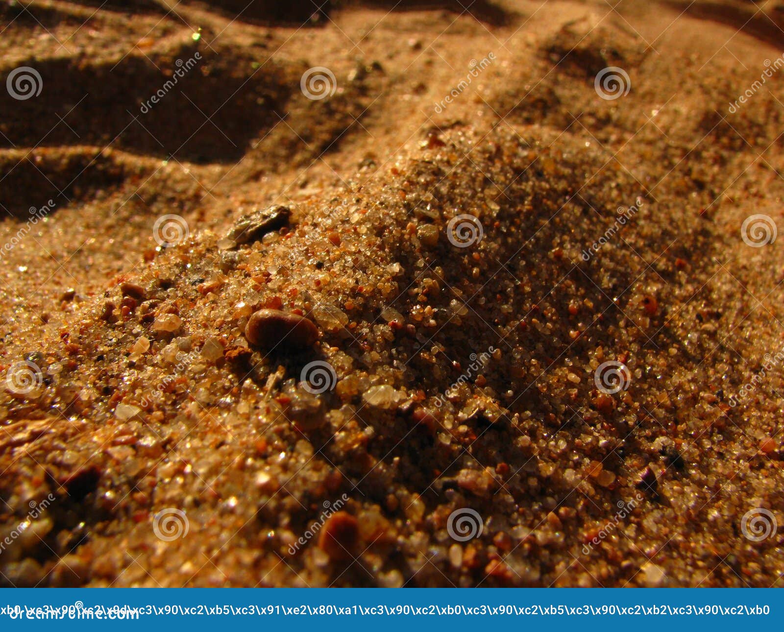 Arena De Mar Macra En La Playa Foto de archivo - Imagen de playa ...