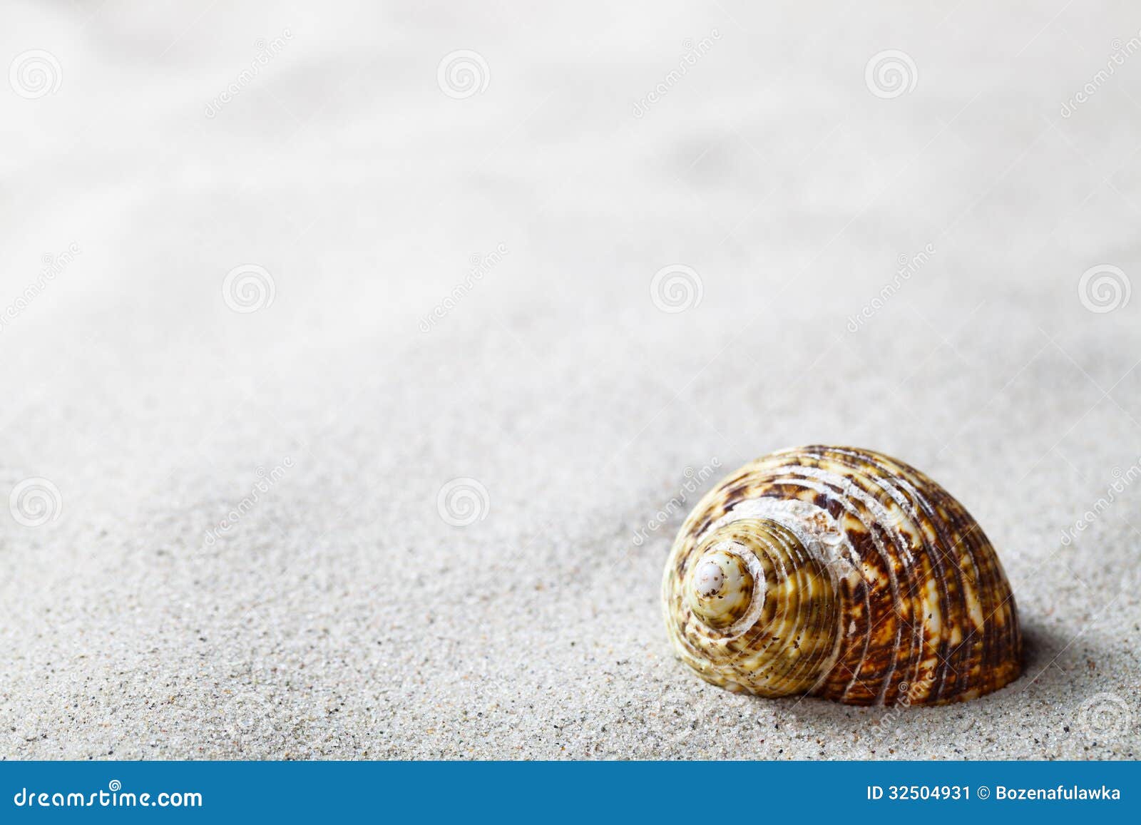 Arena y Shell imagen de archivo. Imagen de espacio, cubo - 32504931