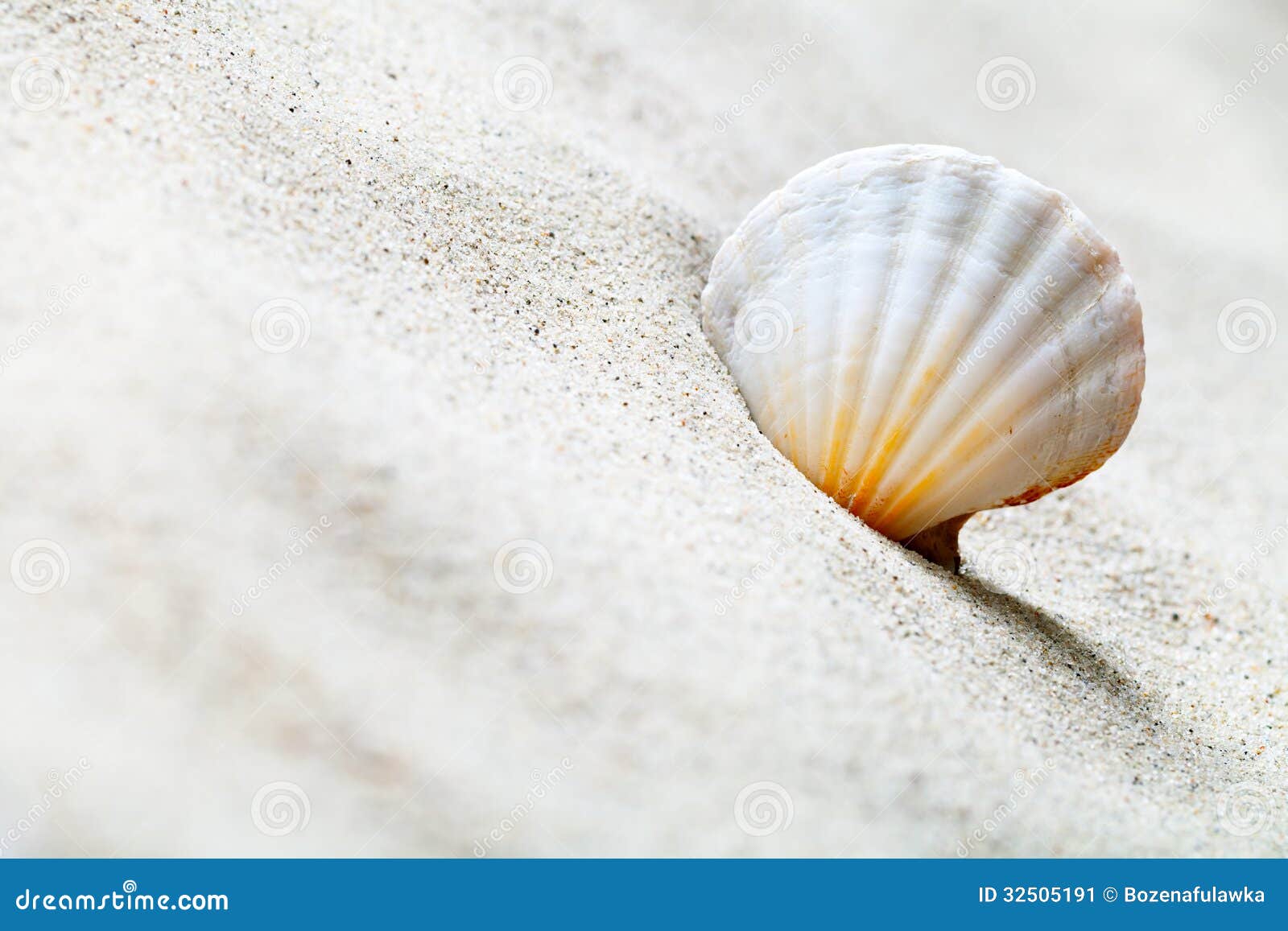 Arena y Shell imagen de archivo. Imagen de océano, verano - 32505191