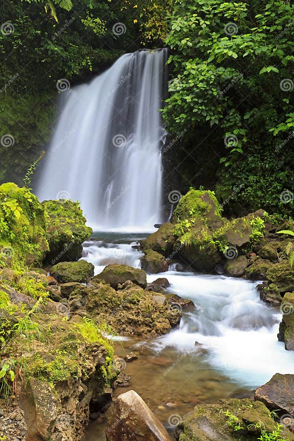 Arenal Tropical Waterfall stock photo. Image of latin - 22406952