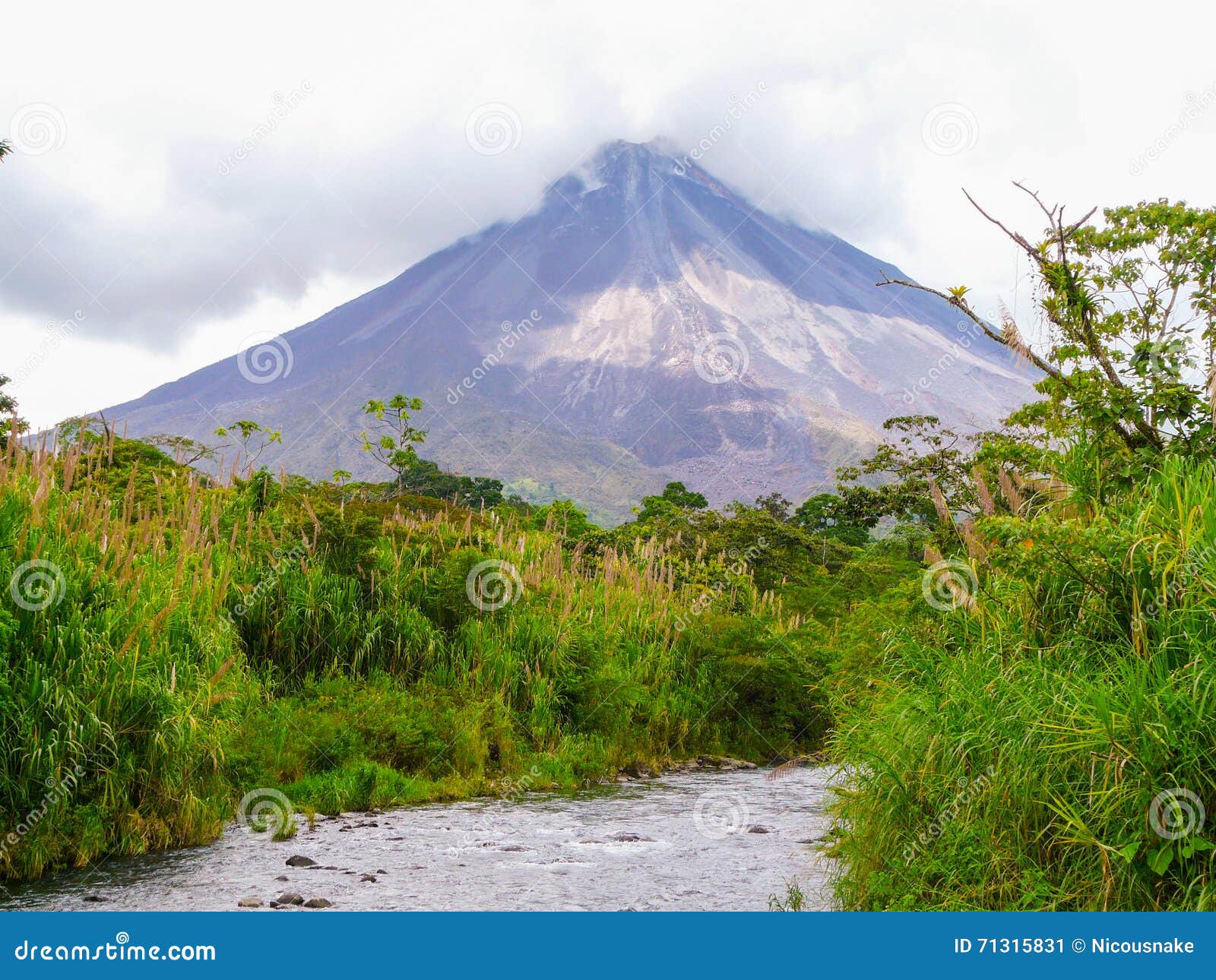 Arenal Volcano National Park Image stock - Image du latin, volcanique ...