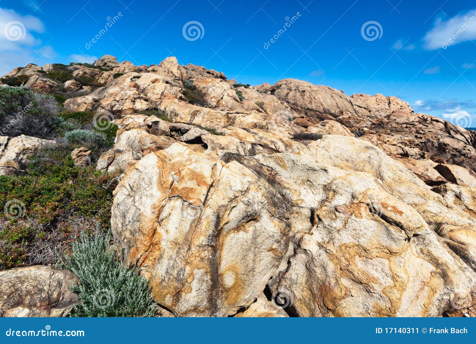 Arenaria Alle Rocce Del Canale Immagine Stock - Immagine di condiglio ...