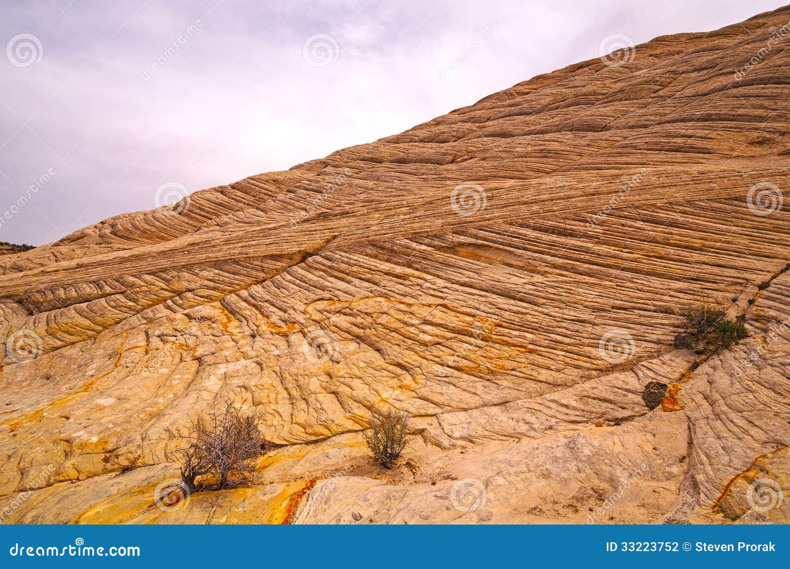 Arenito Branco Ridge No Deserto Foto de Stock - Imagem de parque ...