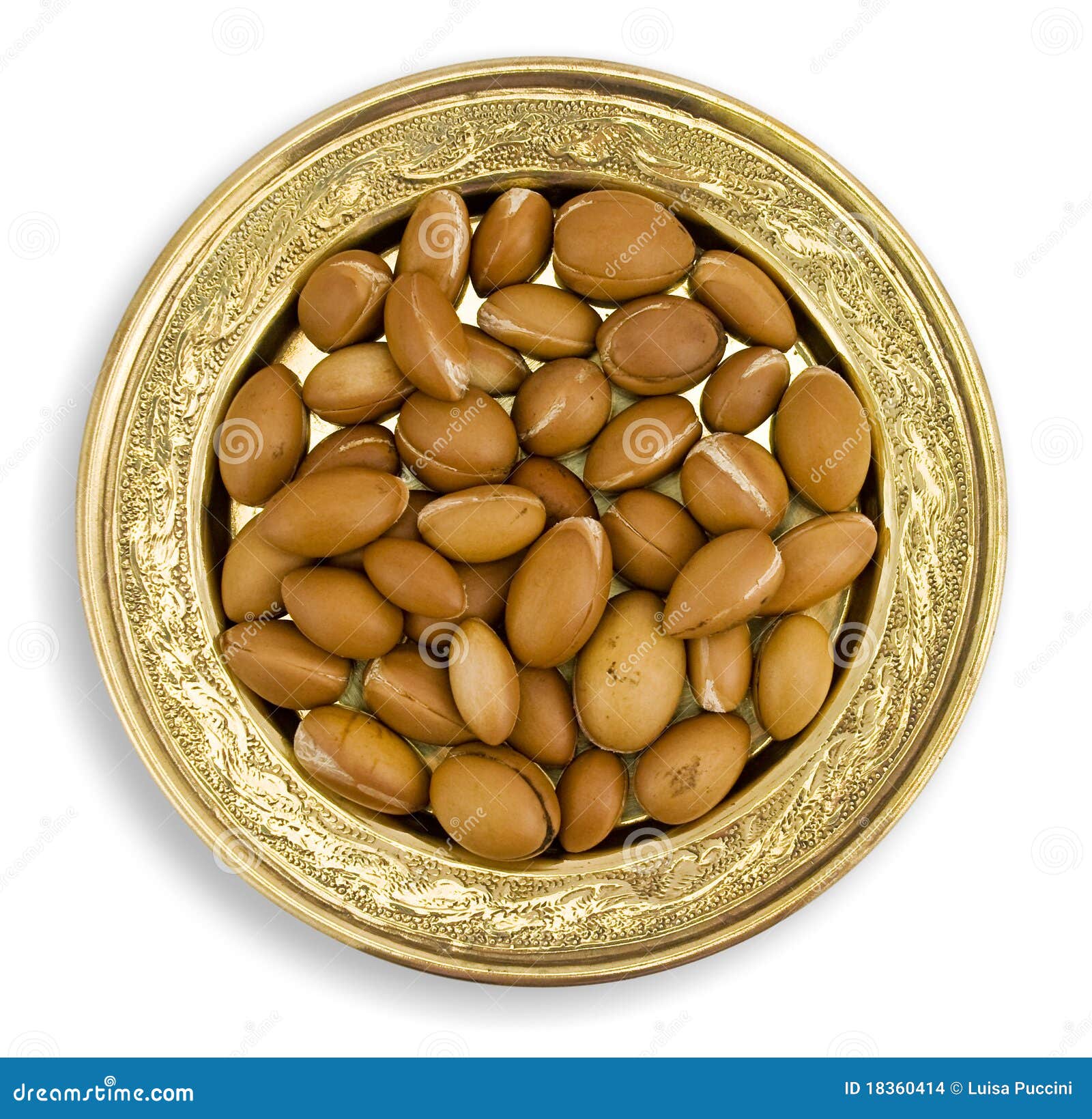 Argan fruits stock photo. Image of argan, essauira, fruit - 18360414