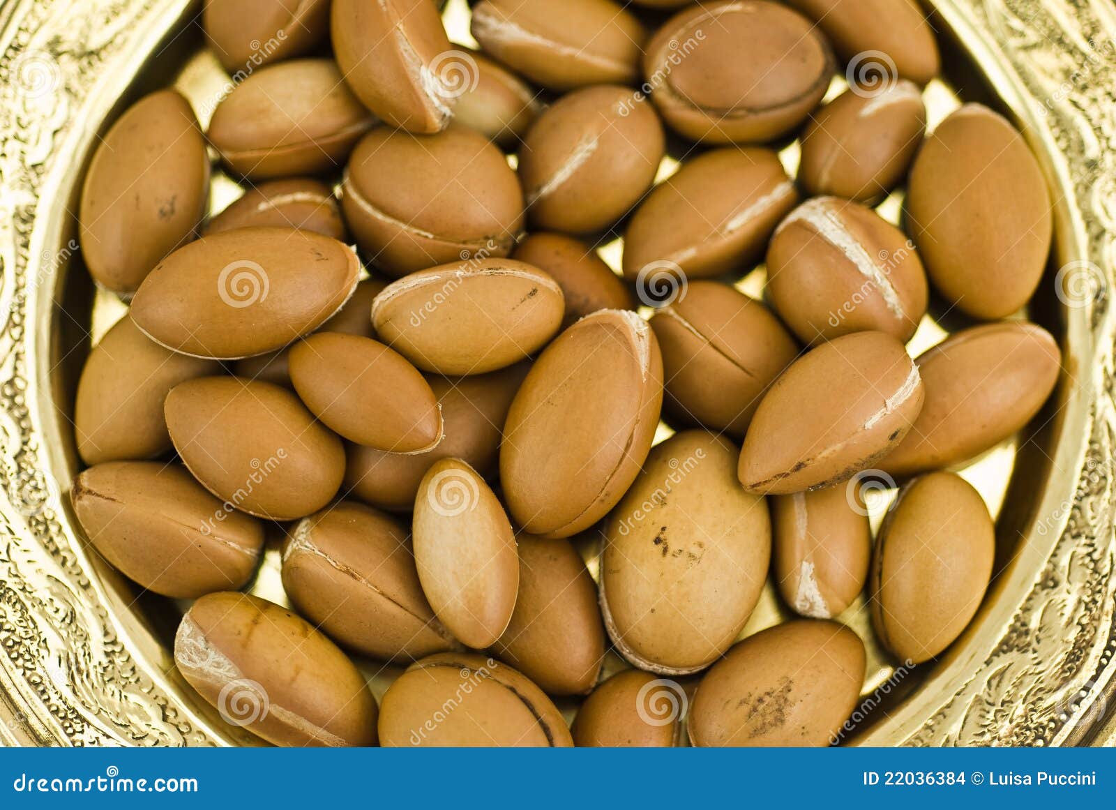 Argan fruits stock photo. Image of cosmetic, africa, seed - 22036384