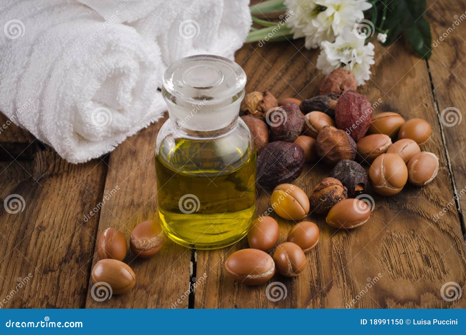 Argan fruits and oil stock photo. Image of argan, shell - 18991150