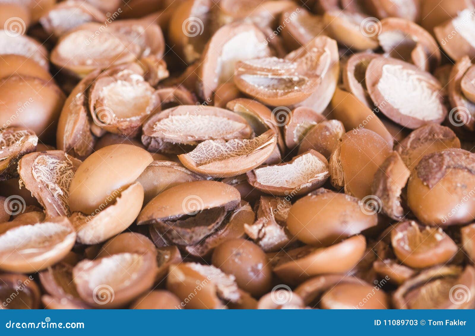 Argan nut shells stock image. Image of nuts, detail, basket - 11089703