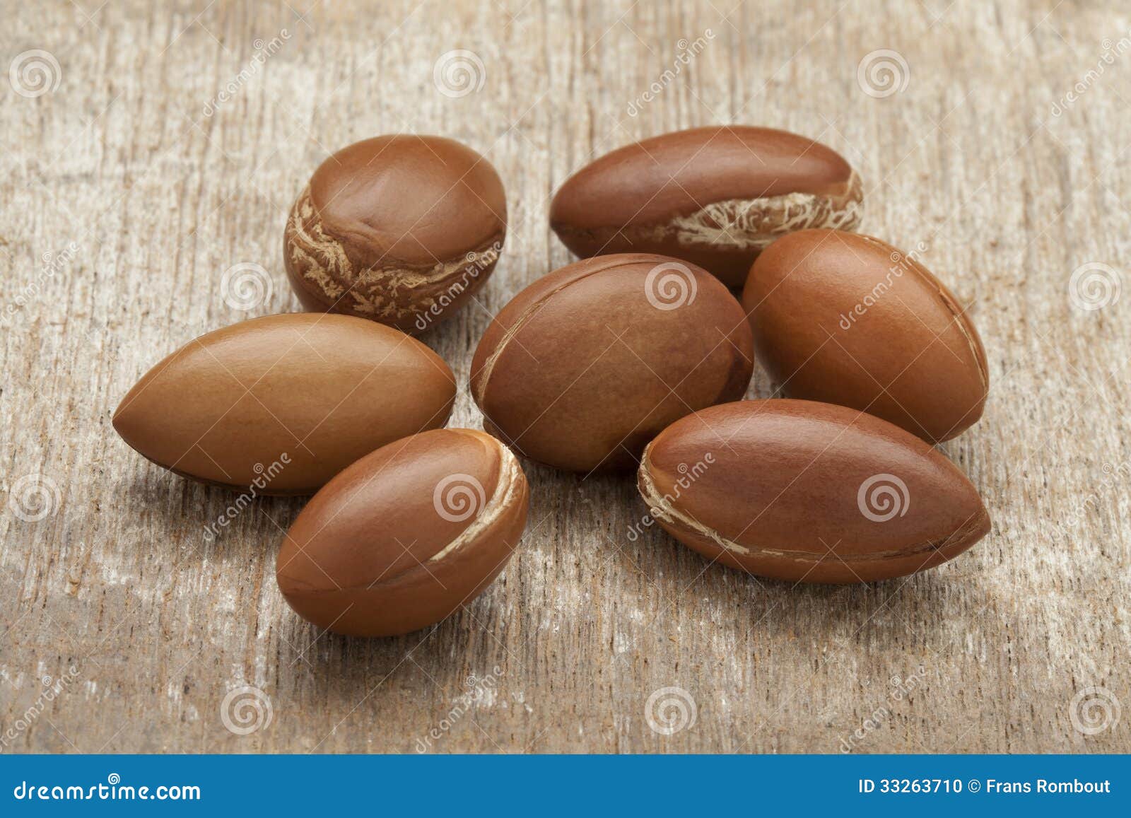 Argan nuts stock photo. Image of ingredient, rare, morocco - 33263710