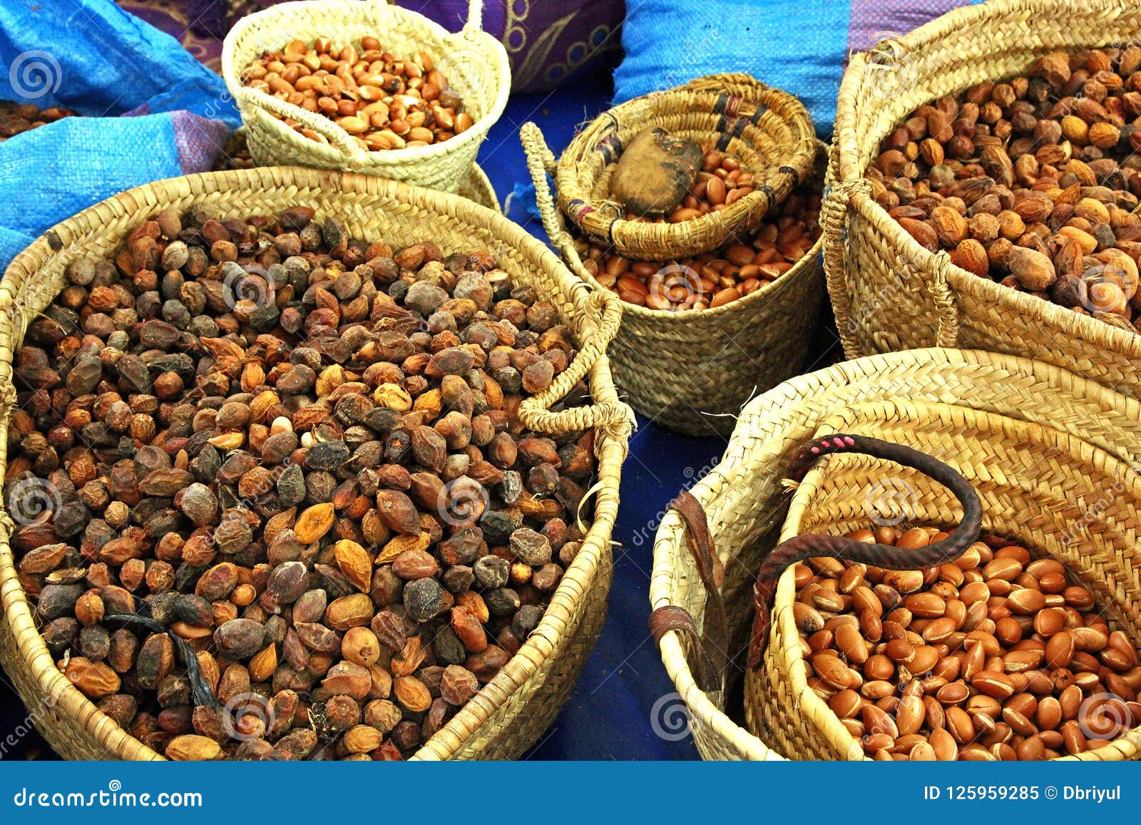 Argan Nuts and Oil Fabrication in Coop Stock Image - Image of moroccan ...