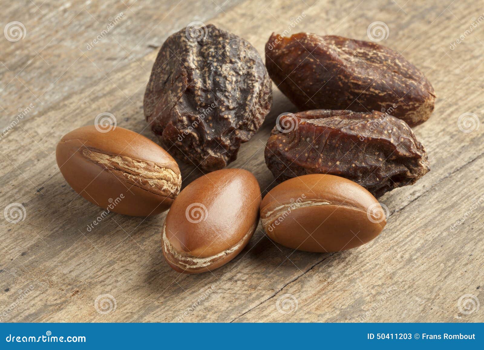 Argan nuts stock image. Image of argan, moroccan, nutshell - 50411203
