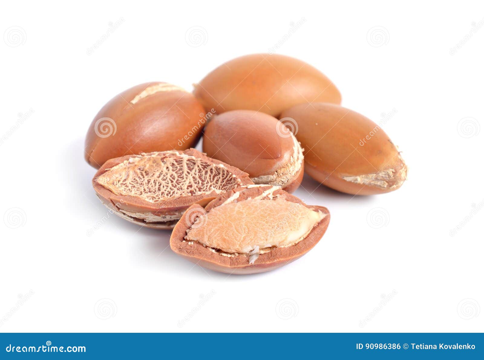 Argan Seed Isolated on White Background. Stock Photo - Image of life ...