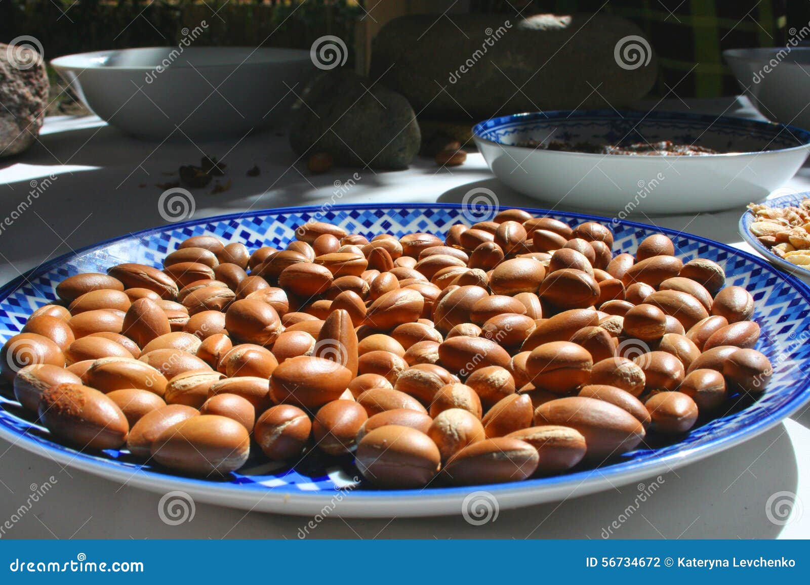 Argan tree nuts stock photo. Image of massage, fruit - 56734672