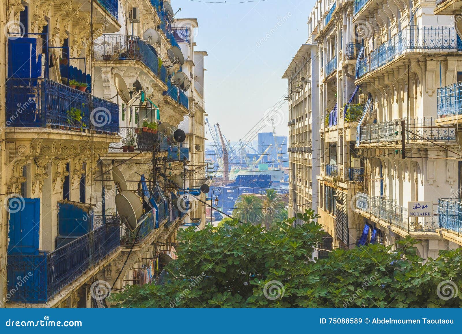 Argel imagen de archivo editorial. Imagen de argelia - 75088589