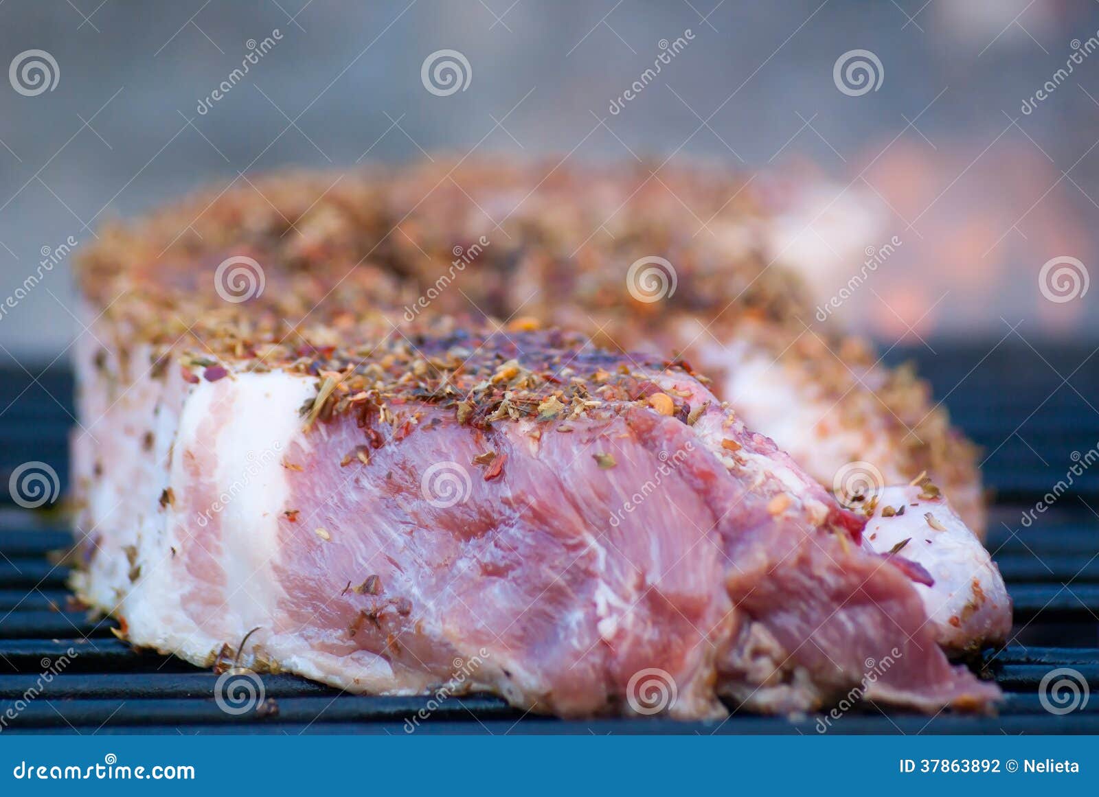 Argentine Meat on the Grill Stock Photo - Image of bife, meal: 37863892