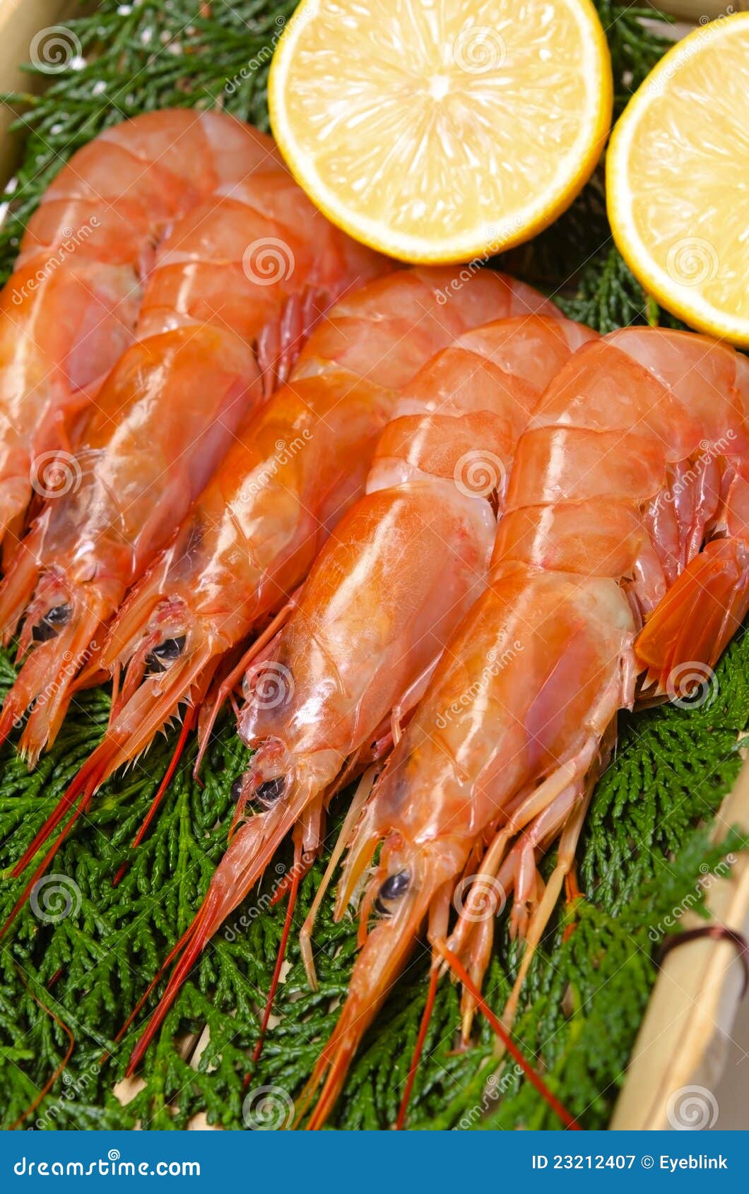 Argentine red shrimp stock image. Image of dinner, argentine - 23212407