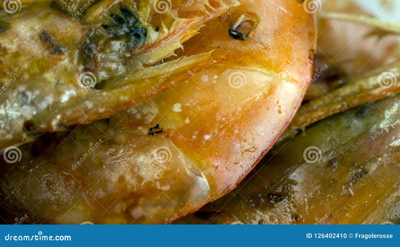 Argentinian prawns bio stock photo. Image of sauce, gamberone - 126402410