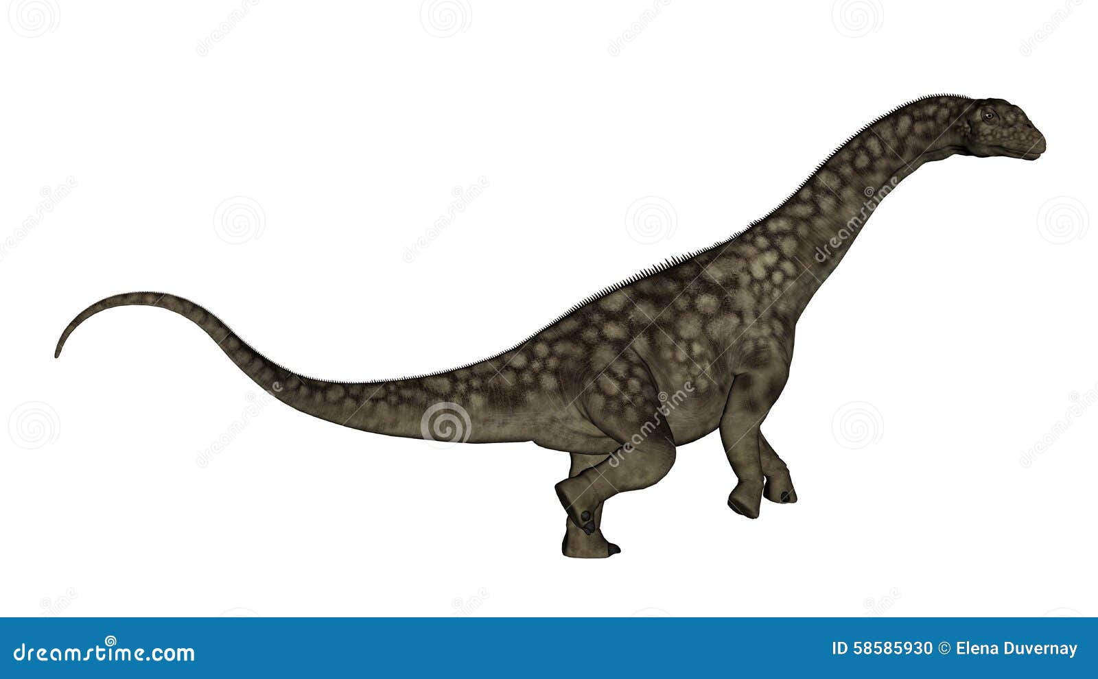 Argentinosaurus Dinosaur Standing Up - 3D Render Stock Illustration ...