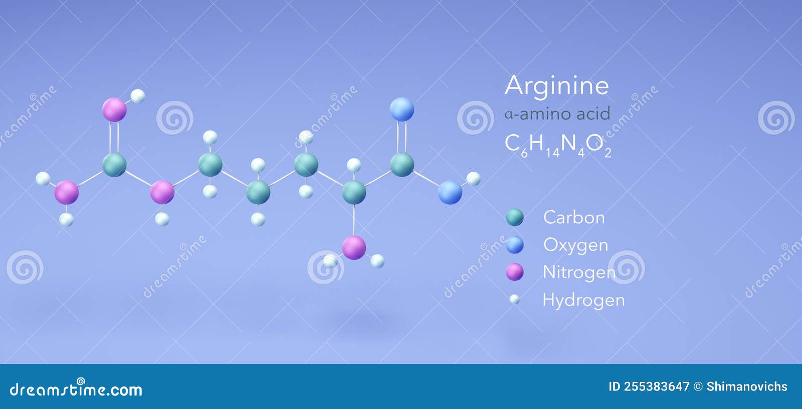 Arginine Arg C6h14n4o2 α Amino Acid Structural Chemical Formula And Molecule 3d Model Atoms