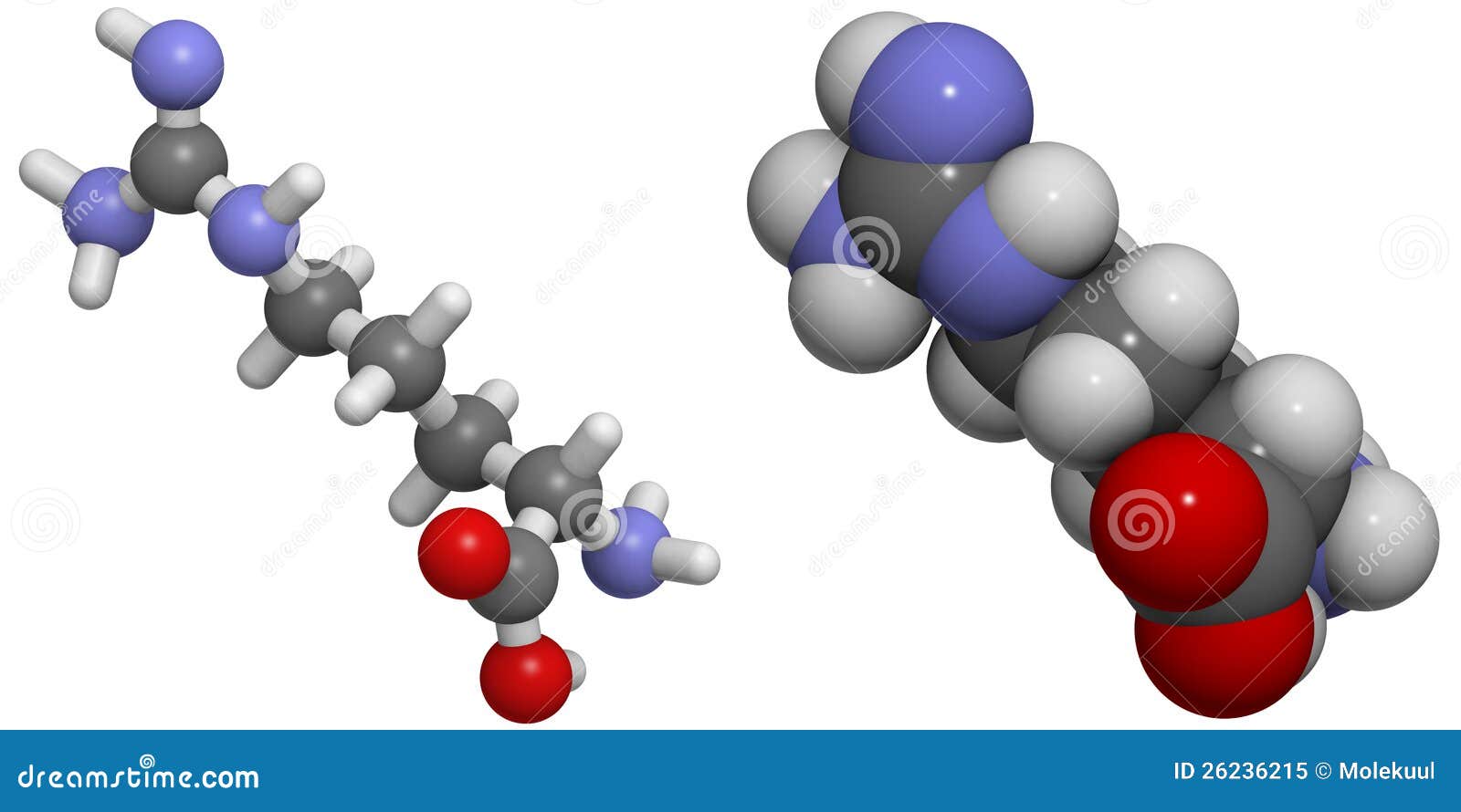 Arginine (Arg, R) Molecule stock illustration. Illustration of protein ...