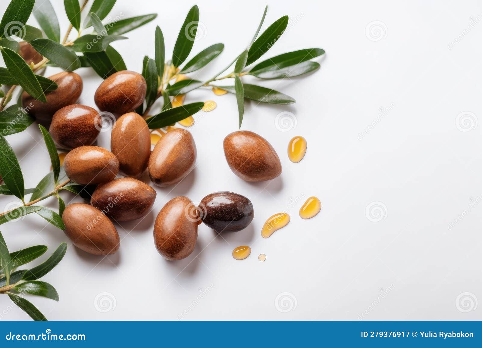 Argon Seeds Nut. Generate Ai Stock Illustration - Illustration of green ...