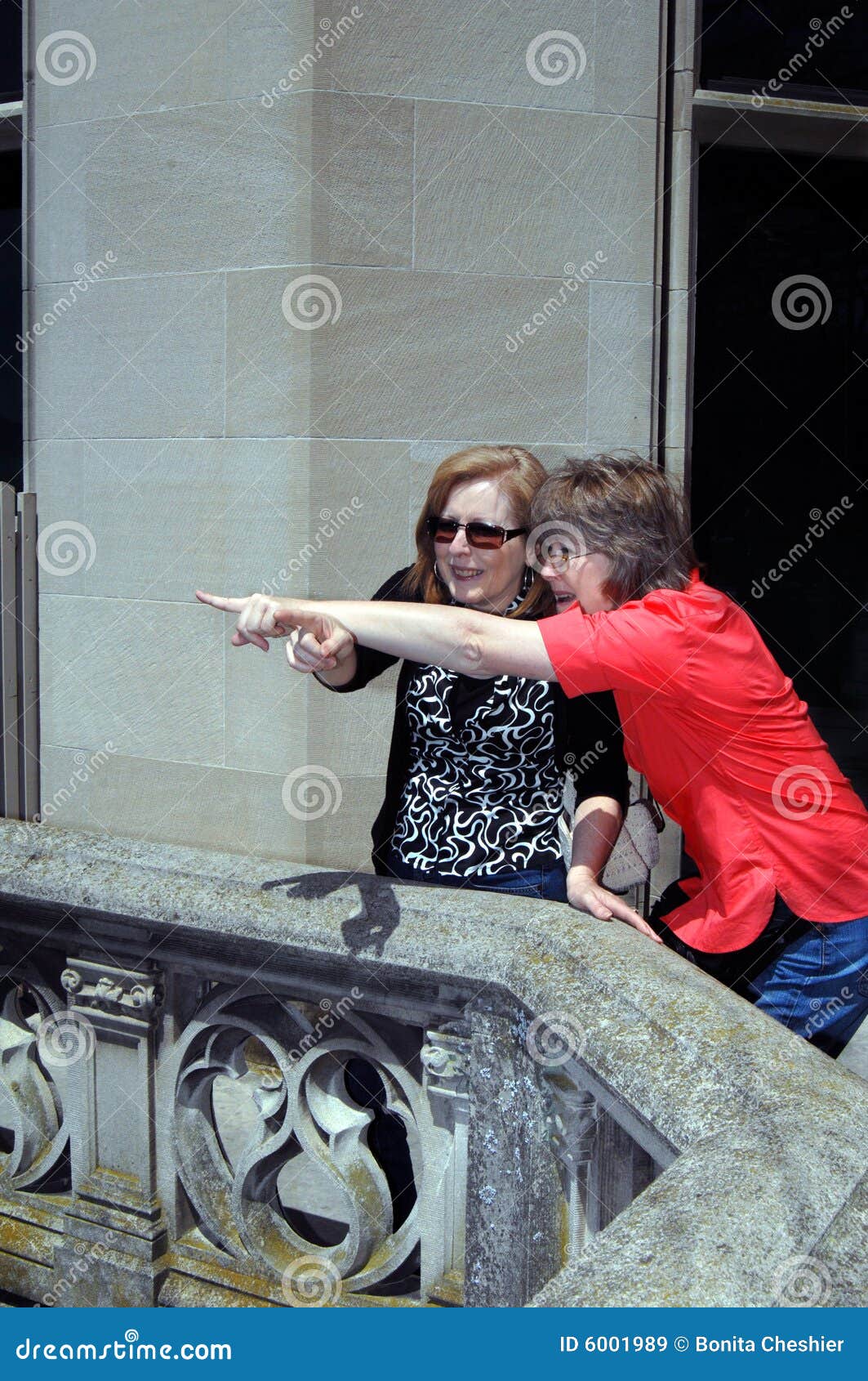 Arguing a point stock image. Image of attractive, colorful - 6001989