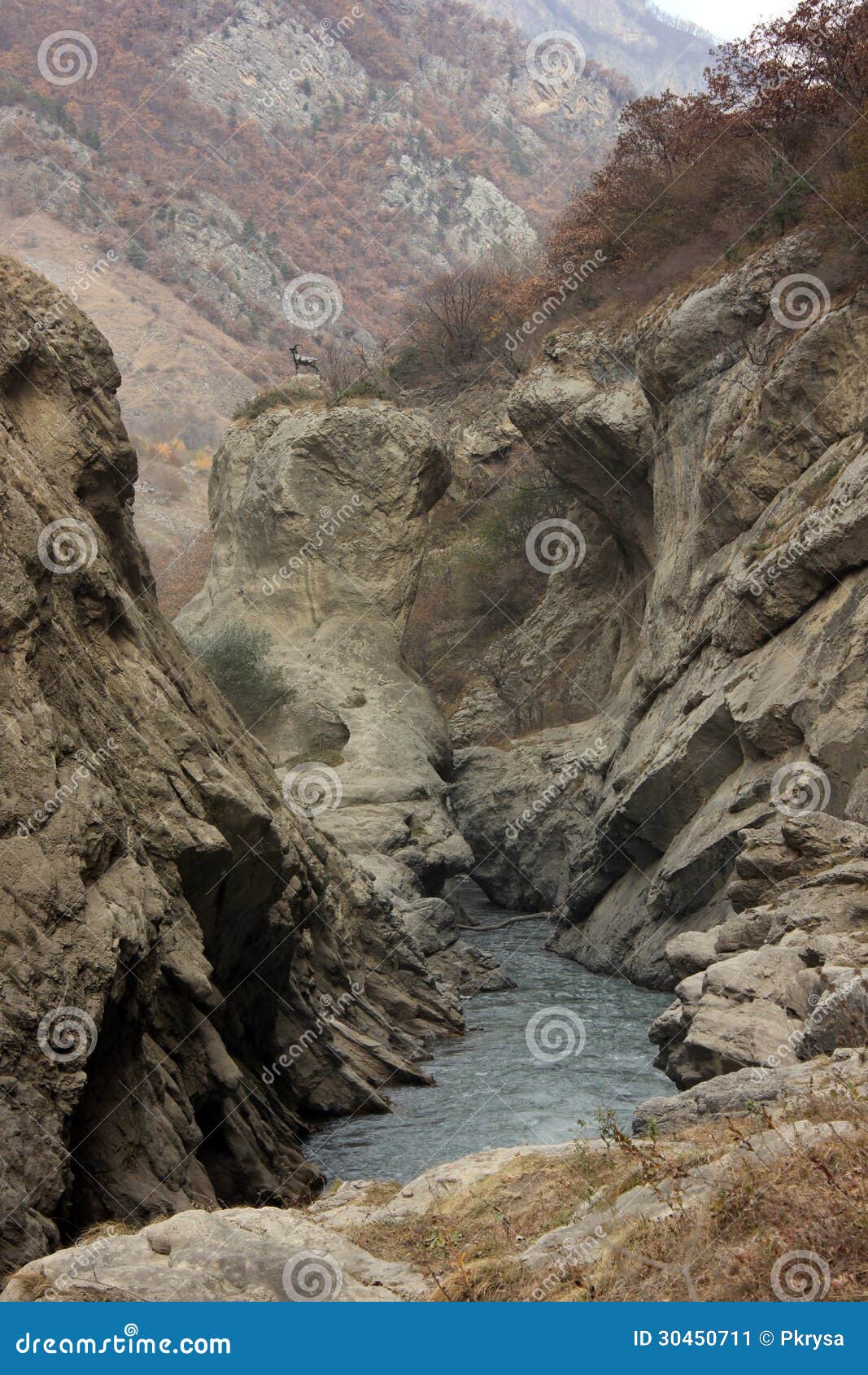 Argun Canyon in Chechnya Mountains Stock Image - Image of gorge, chasm ...