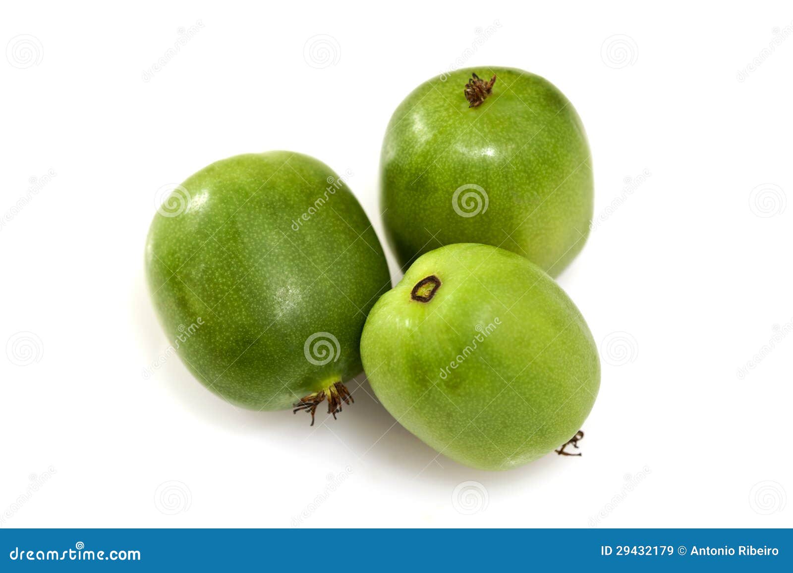 Arguta Da Baga Ou Do Actinidia Do Quivi Imagem de Stock - Imagem de ...