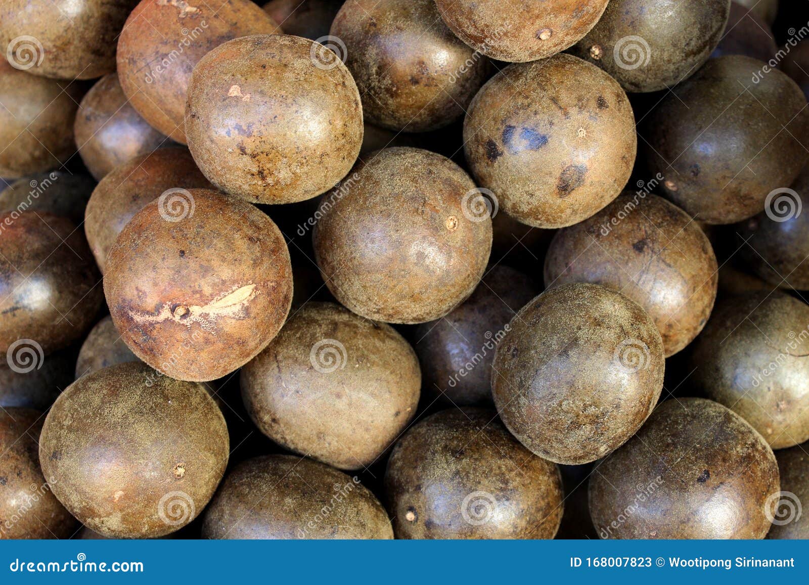 Arhat Fruit-Buddha Fruit-Monk Fruit-Longevity Fruit Stock Image - Image ...