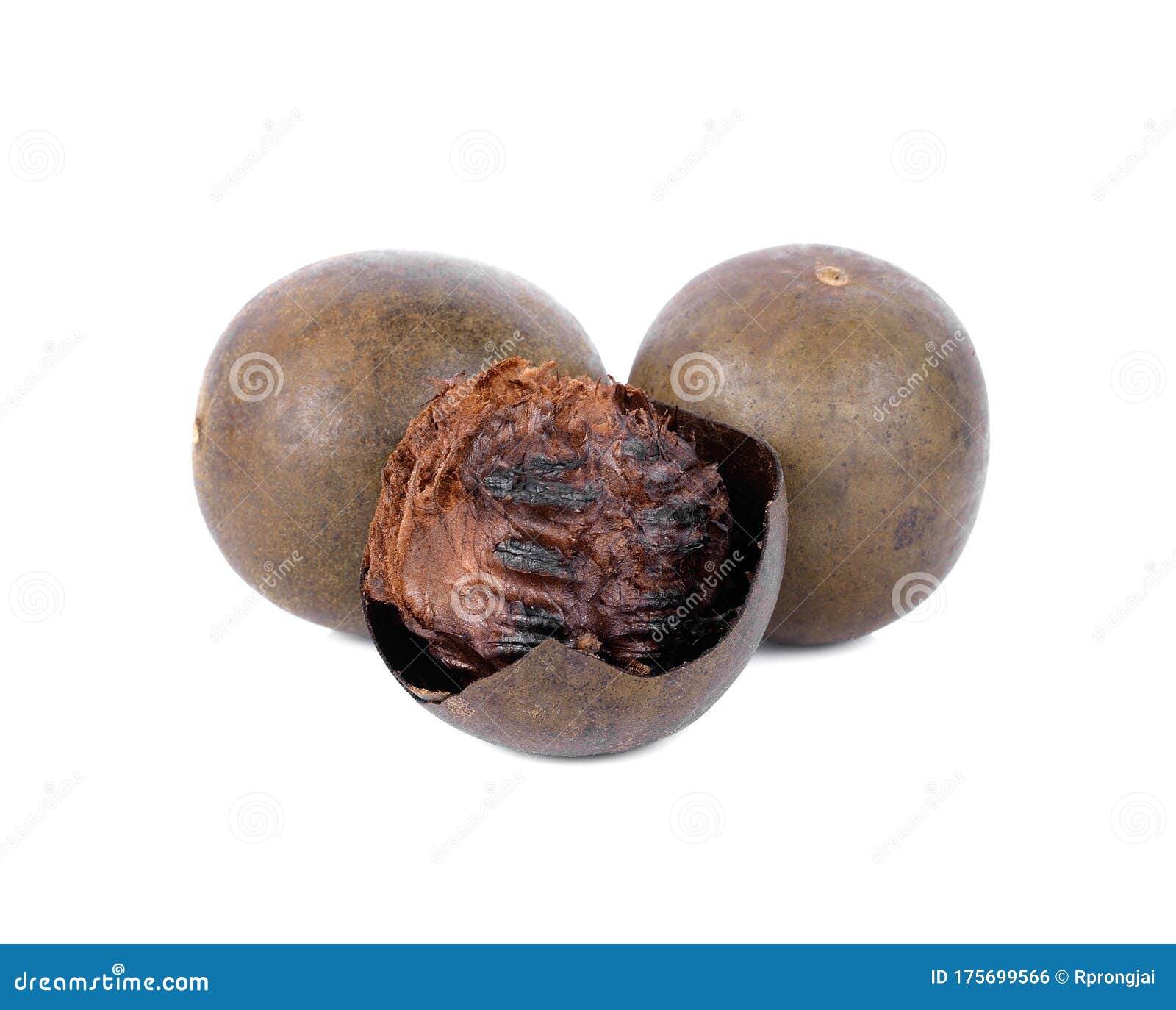 Arhat Fruit, Buddha Fruit, Monk Fruit or Longevity Fruit on White Stock ...