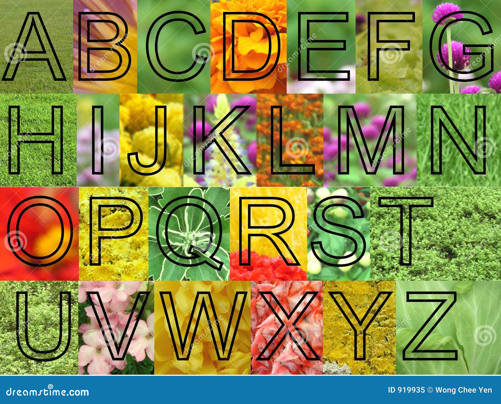 Arial flowers letters stock illustration. Illustration of arial - 919935