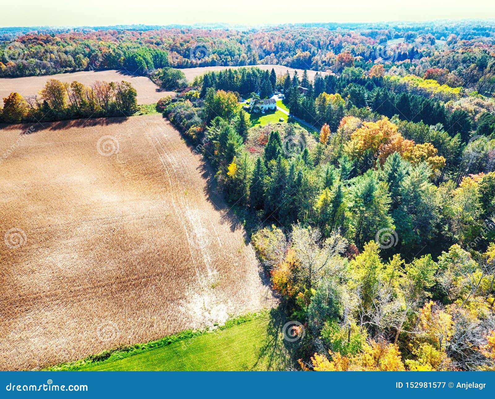 Arial Veiw of Fields and Autumn Trees. Stock Image - Image of field ...