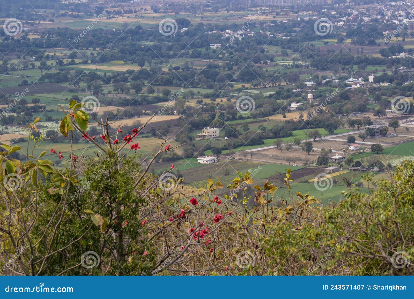 Arial View of Fields Trees and Rural Indore Stock Image - Image of ...