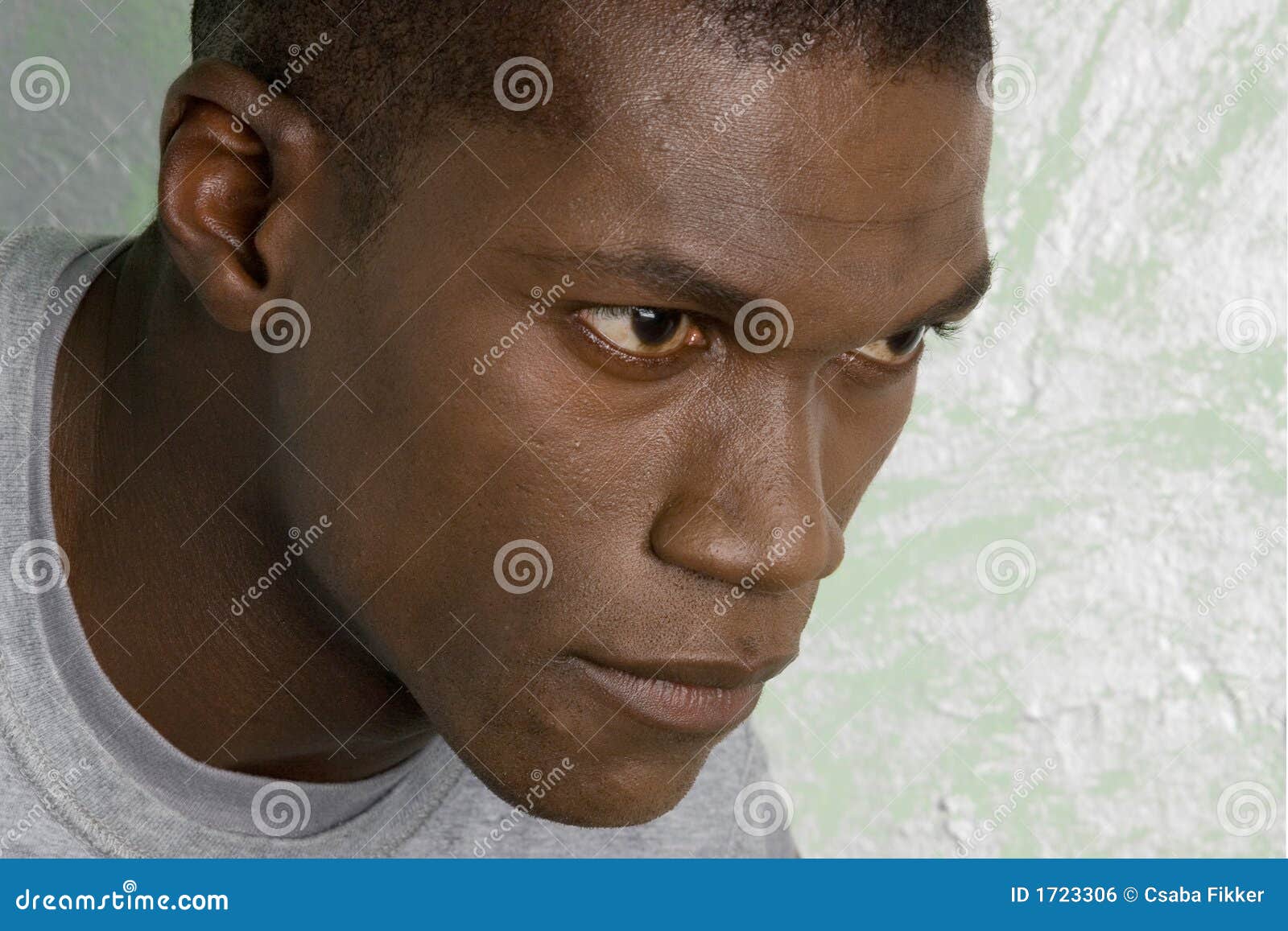 Arican portrait stock photo. Image of african, america - 1723306
