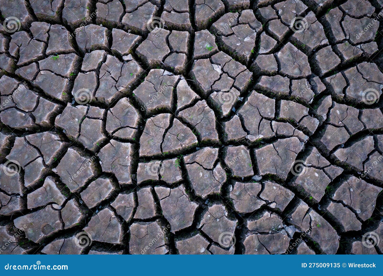 Arid Cracked Desert Like River Bed Ground Texture After A Drought Large ...