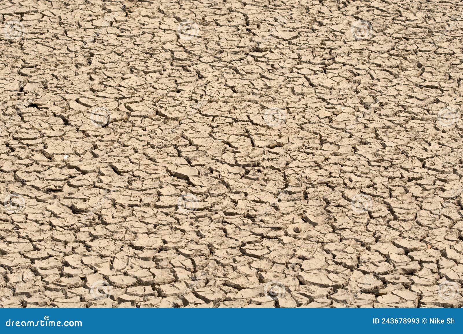Arid cracked land stock image. Image of texture, death - 243678993