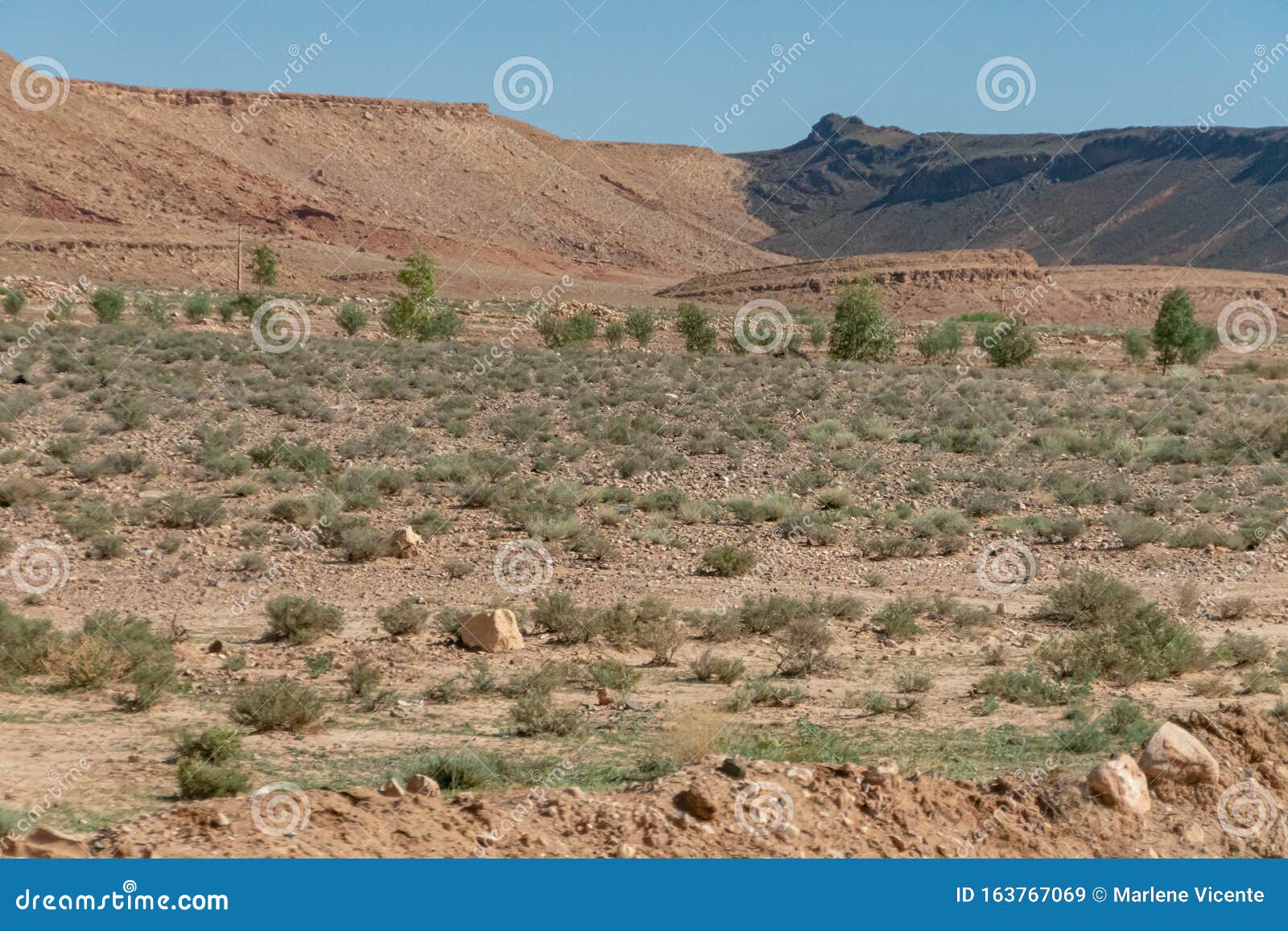 Arid and Desert Area with Desert Vegetation in Morocco Stock Image ...