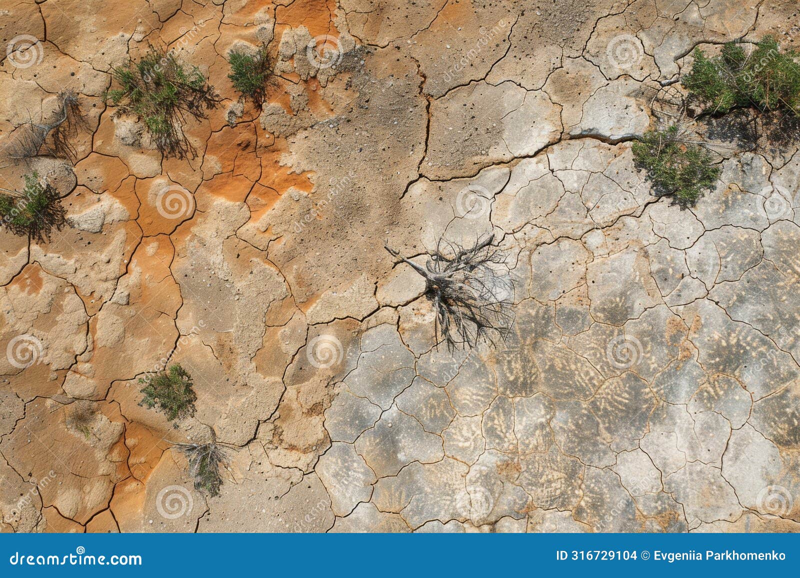 Arid Desert Soil with Cracks and Sparse Greenery Stock Photo - Image of ...