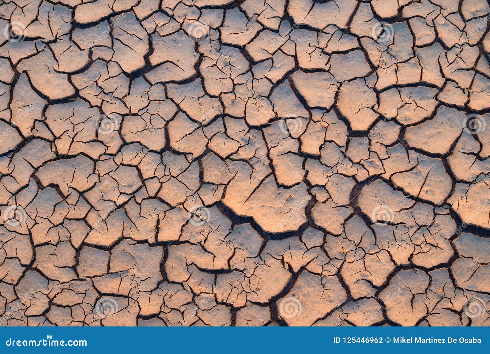 Cracked Land, Soil Texture Stock Photography | CartoonDealer.com #152097626
