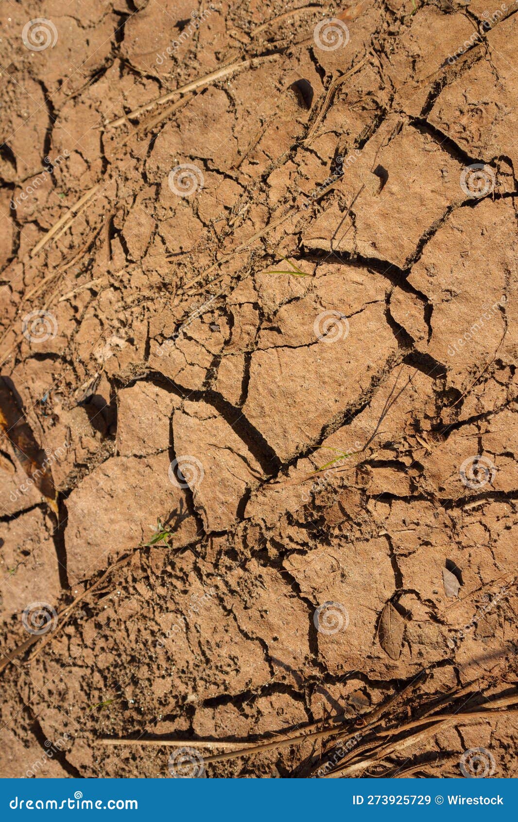 Dry Cracked Soil Texture Background Stock Image - Image of textured ...