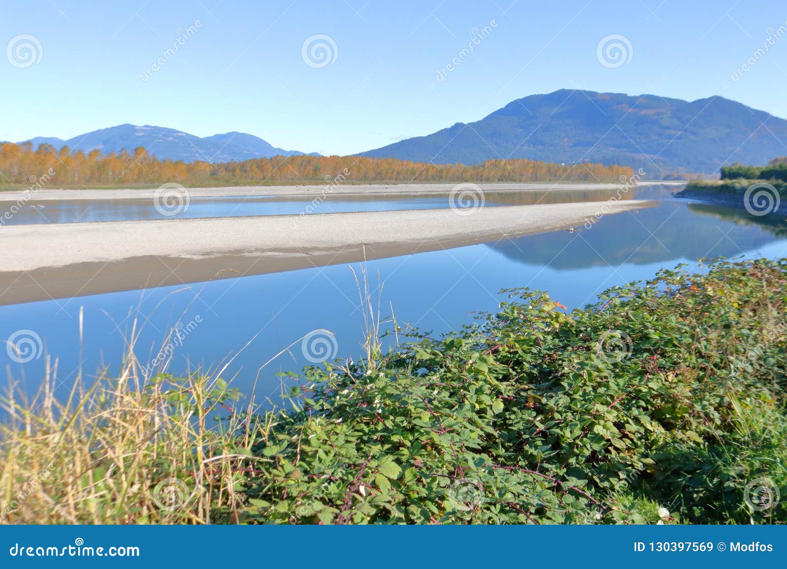 Exposed Shallow River during Drought Stock Image - Image of large ...