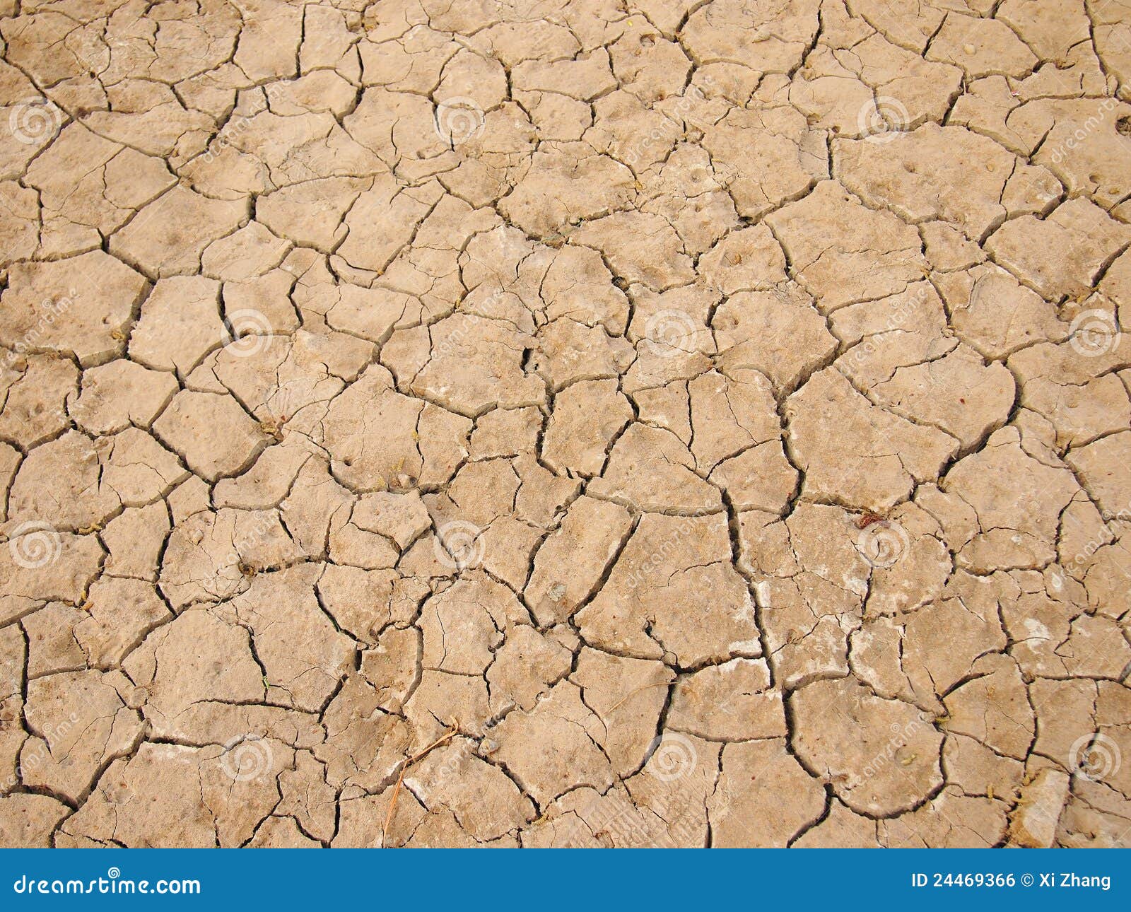 Arid Earth,China stock photo. Image of global, ecology - 24469366