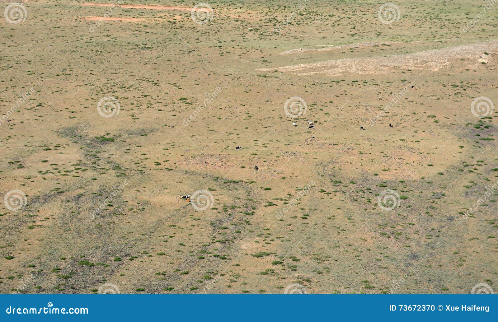 Arid grassland stock photo. Image of green, marginal - 73672370
