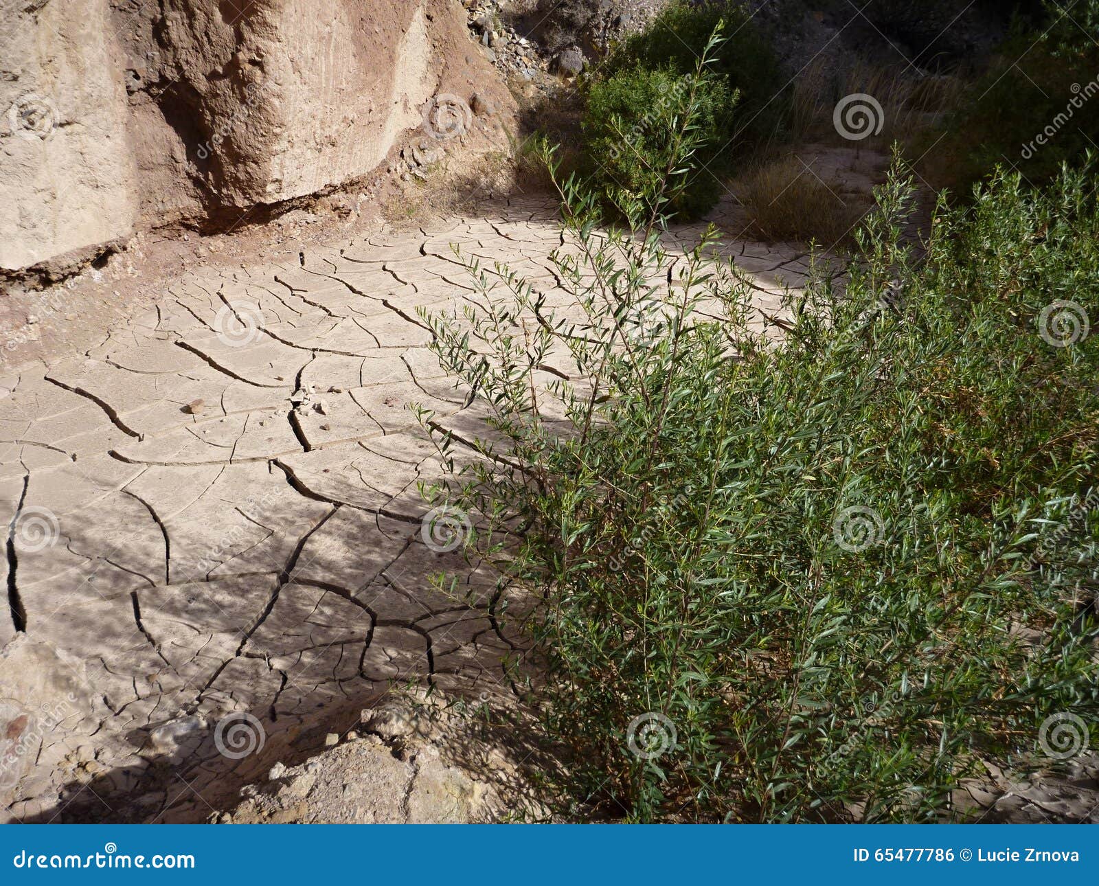 Arid Ground in Cotahuasi Canyon Stock Photo - Image of destination ...